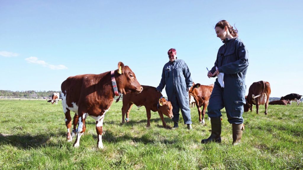 Livestock For Sustainable Food Systems - PATHWAYS