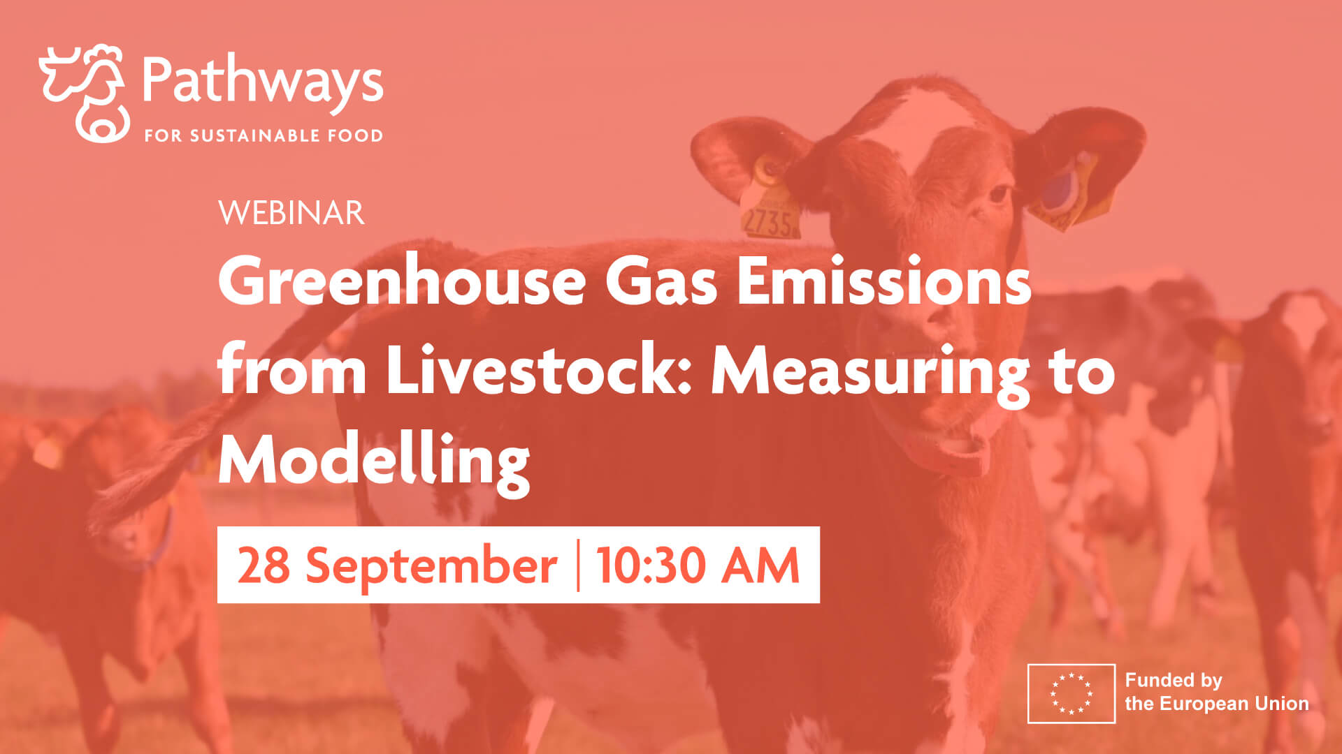 Greenhouse Gas Emissions from Livestock: Measuring to Modelling - PATHWAYS